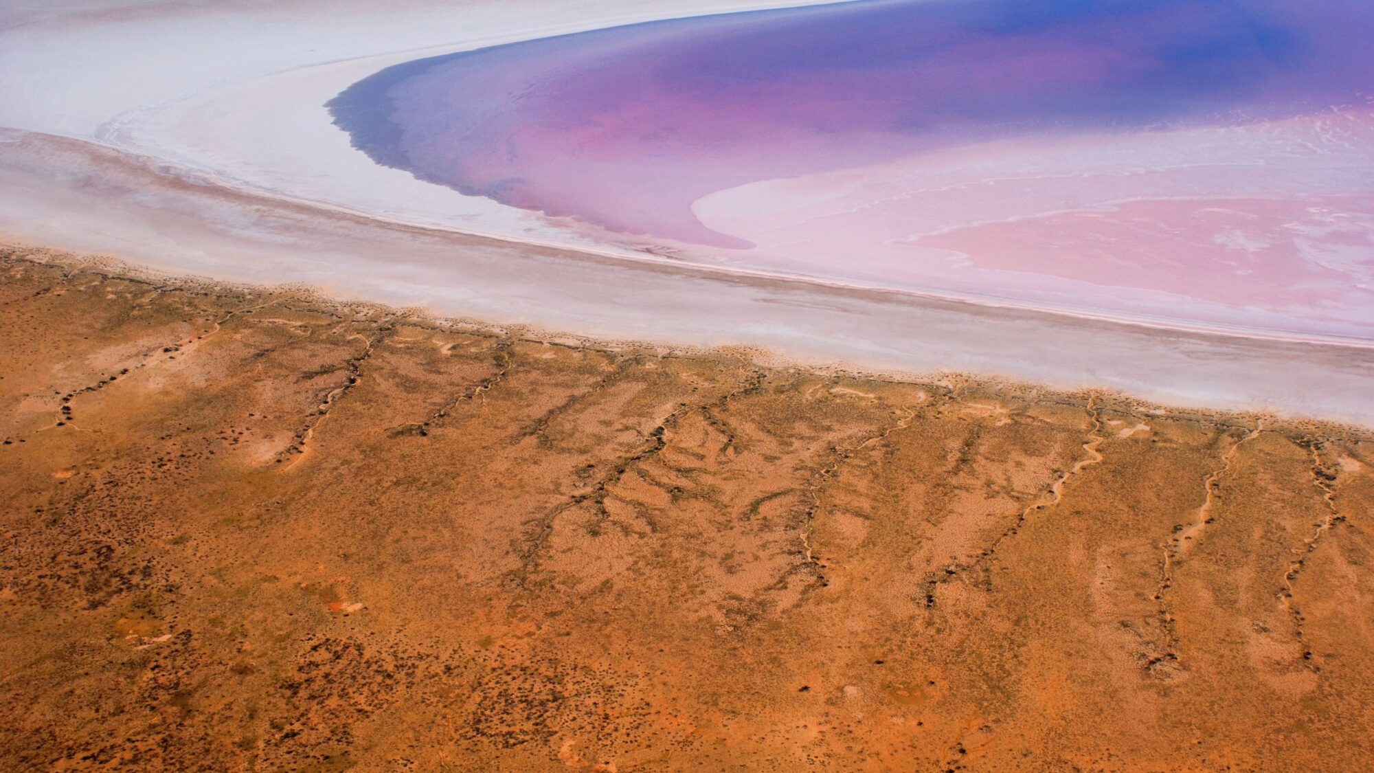 Lake Eyre in Flood: A Rare Aerial Journey